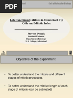 Lab Manual - Mitosis in An Onion Root Cell | PDF