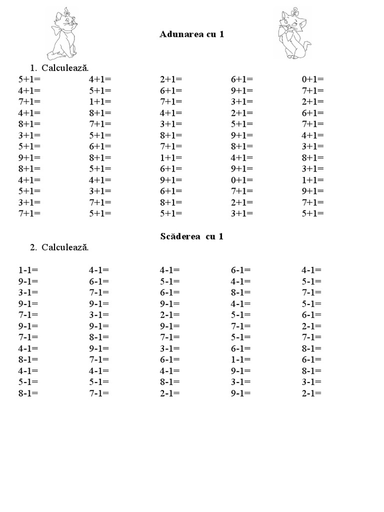 2 Adunarea Si Scaderea Cu 1 | PDF