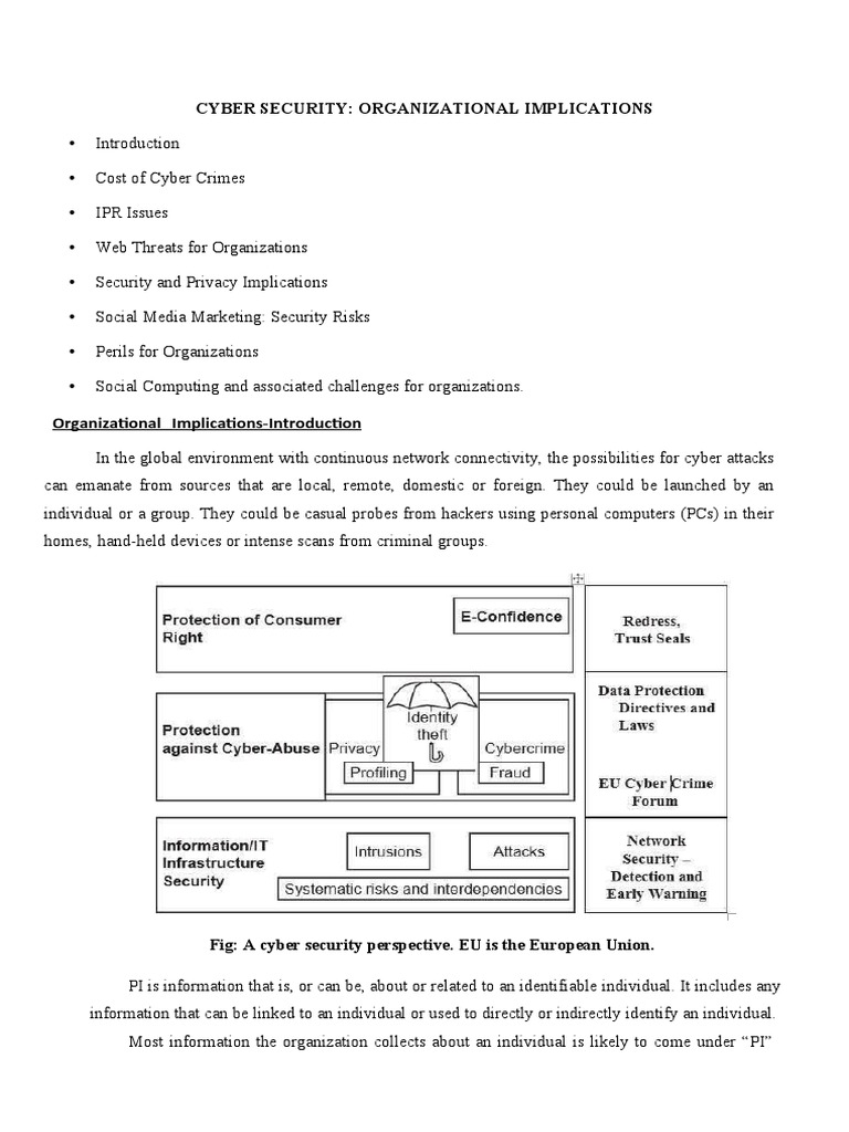 Cyber Security: Organizational Risks and Costs | PDF | Security ...