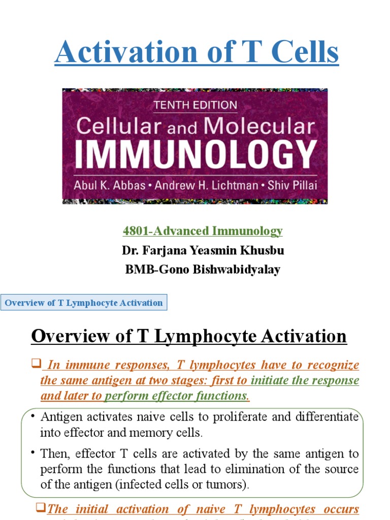 4801 - Activation of T Cell | PDF | T Cell | T Helper Cell
