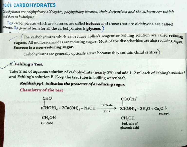 XII Carbohydrate, Fats and Protein Test | PDF | Carbohydrates | Solubility