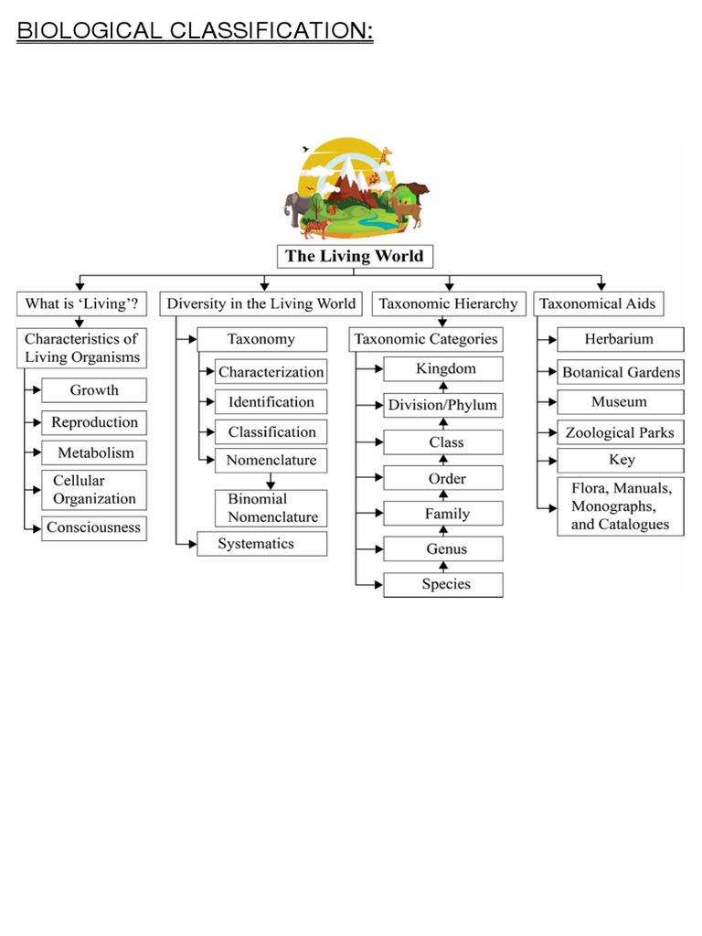 Cheat Sheet Nsejs Biology | PDF | Social Science | Wellness