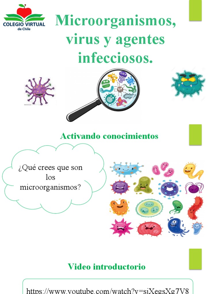 Microorganismos, Virus y Agentes Infecciosos | PDF | Microorganismo | Virus