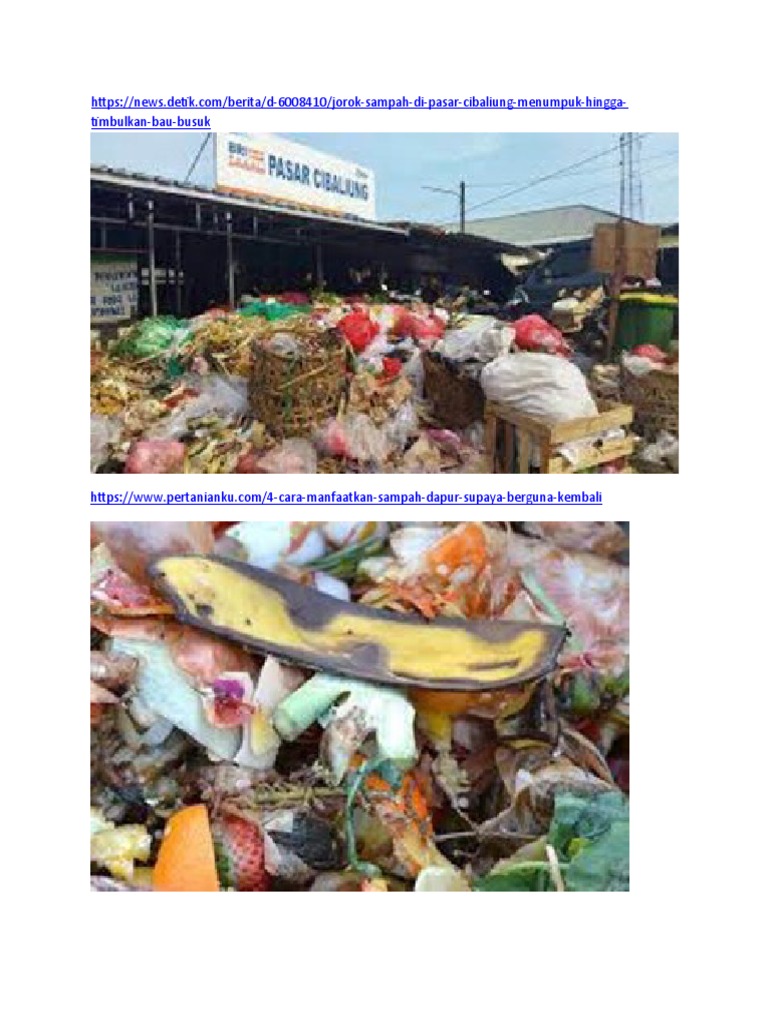 Gambar Macam Macam Sampah Organik Dan An Organik | PDF