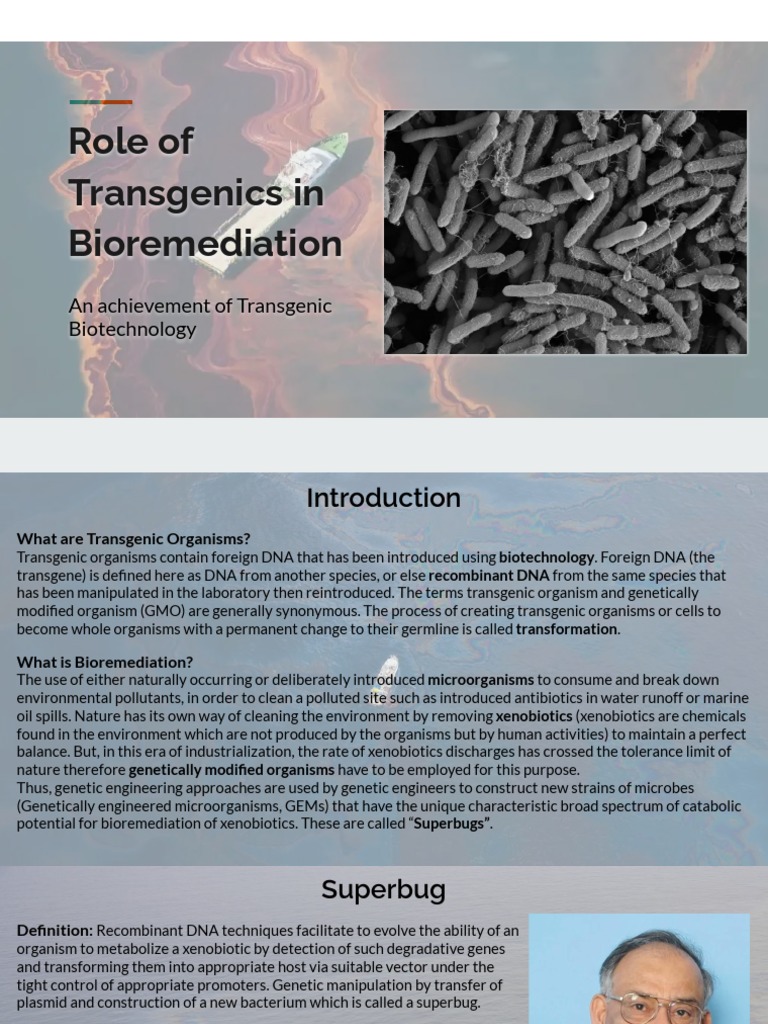 Role of Transgenics in Bioremediation | PDF | Genetic Engineering | Genetically Modified Organism