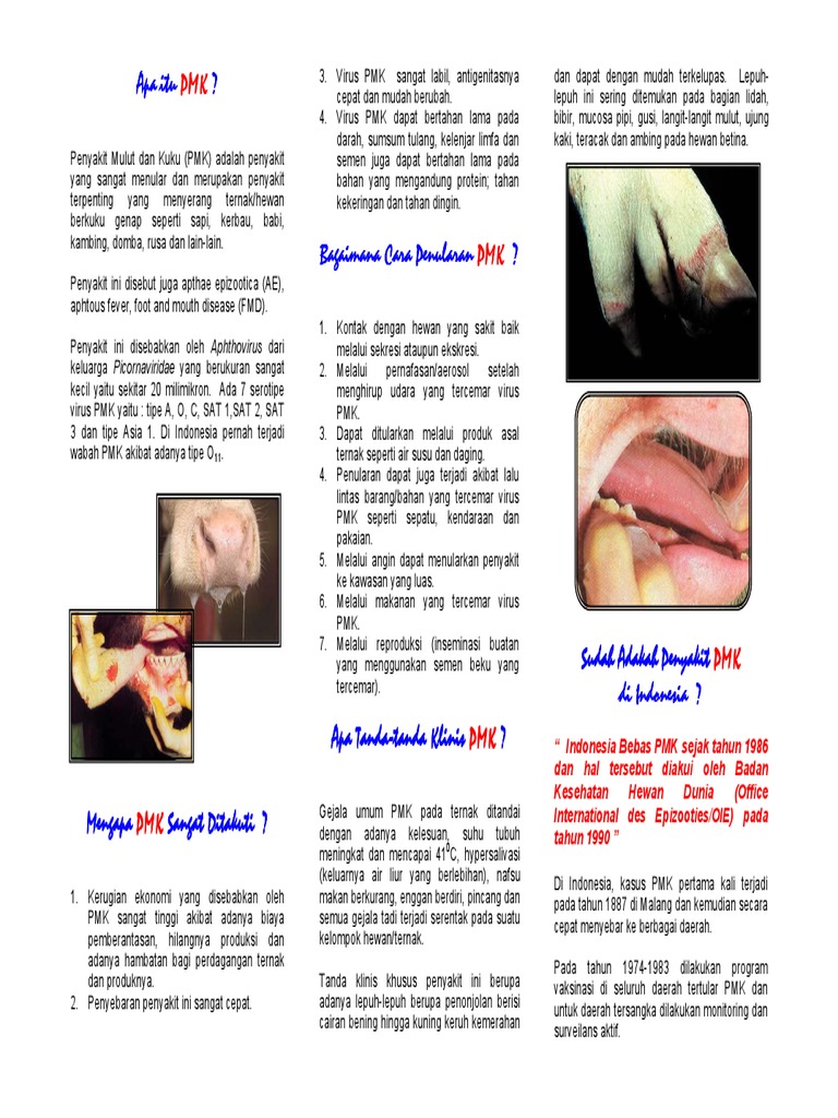 Microsoft Word - Leaflet-PMK | PDF