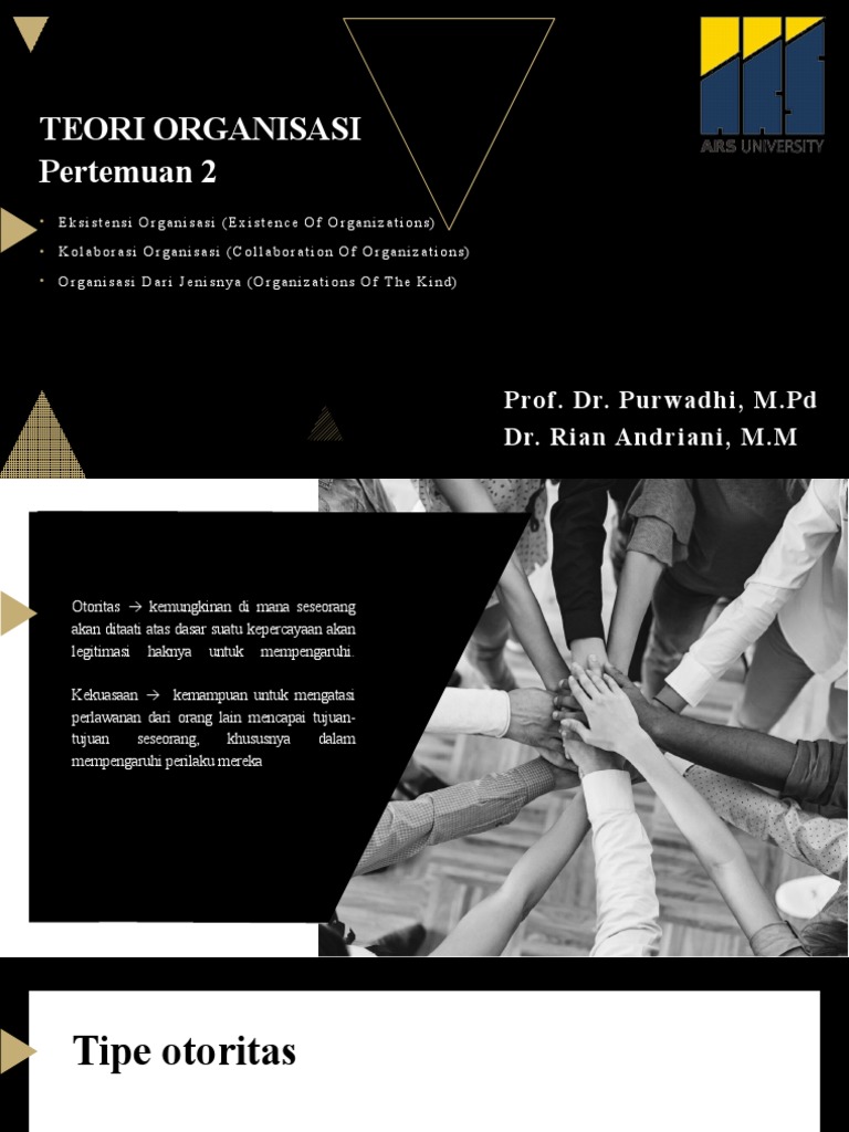 P-02 Teori Organisasi | PDF