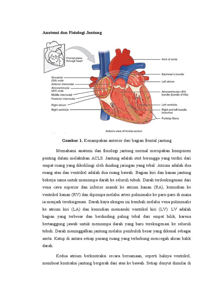 Referat ACLS Part 1&2 | PDF