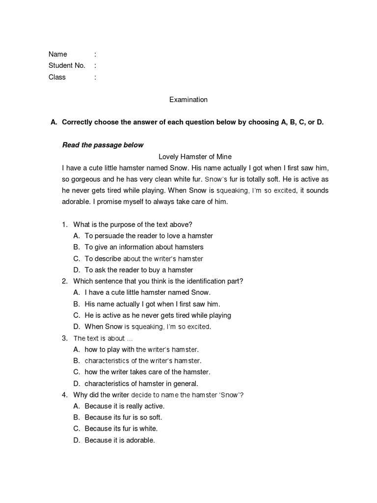 Examination Kelas 7 Descriptive | PDF