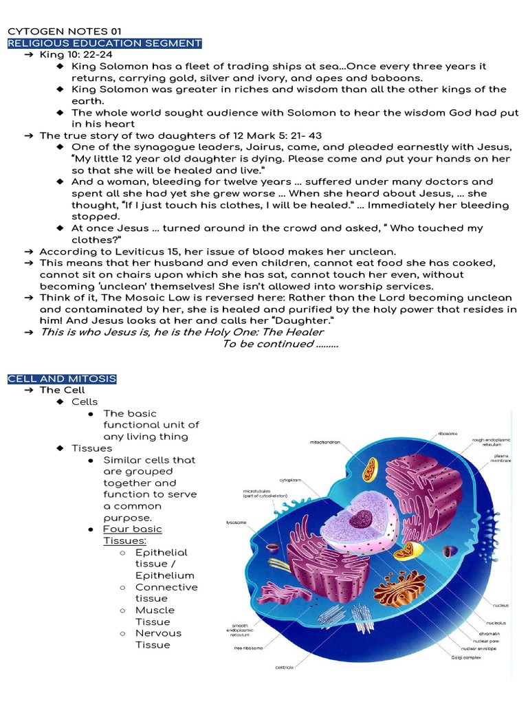 Cytogen Notes 01 | PDF | Meiosis | Mitosis