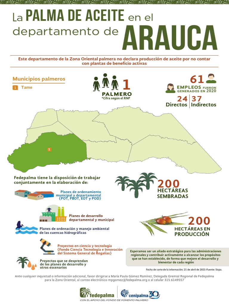 Infografía Arauca | PDF | Economias