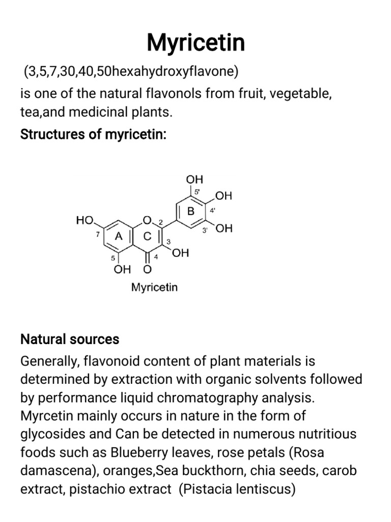 Myricetin Slides | PDF