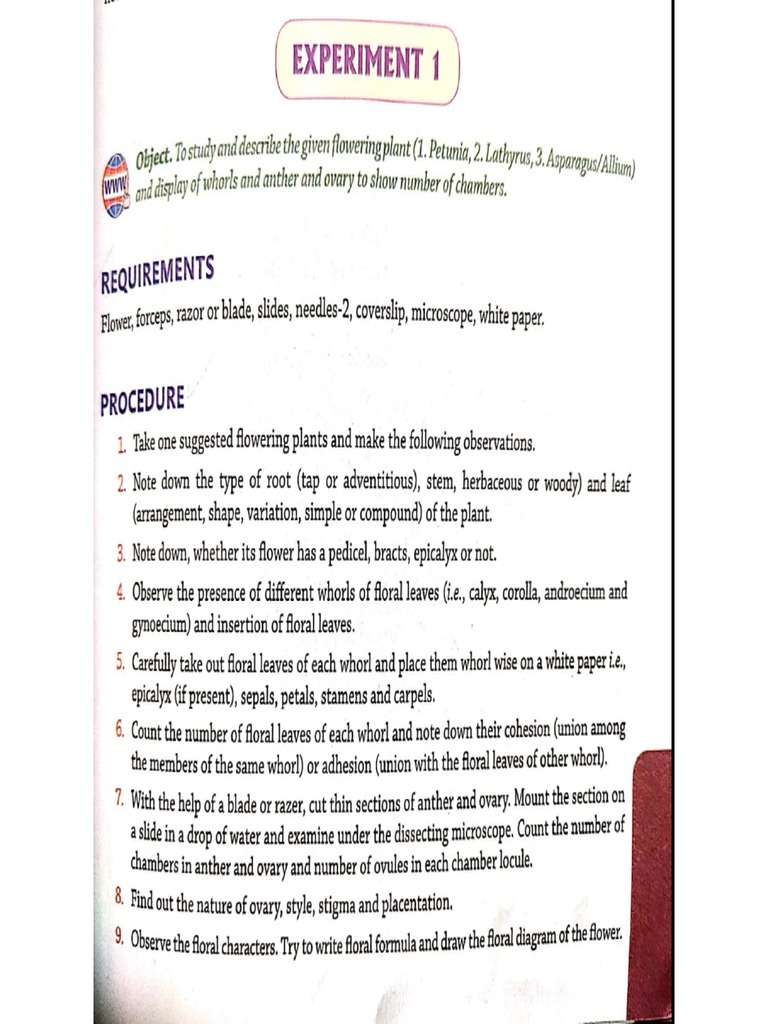 Class 11 Experiments | PDF