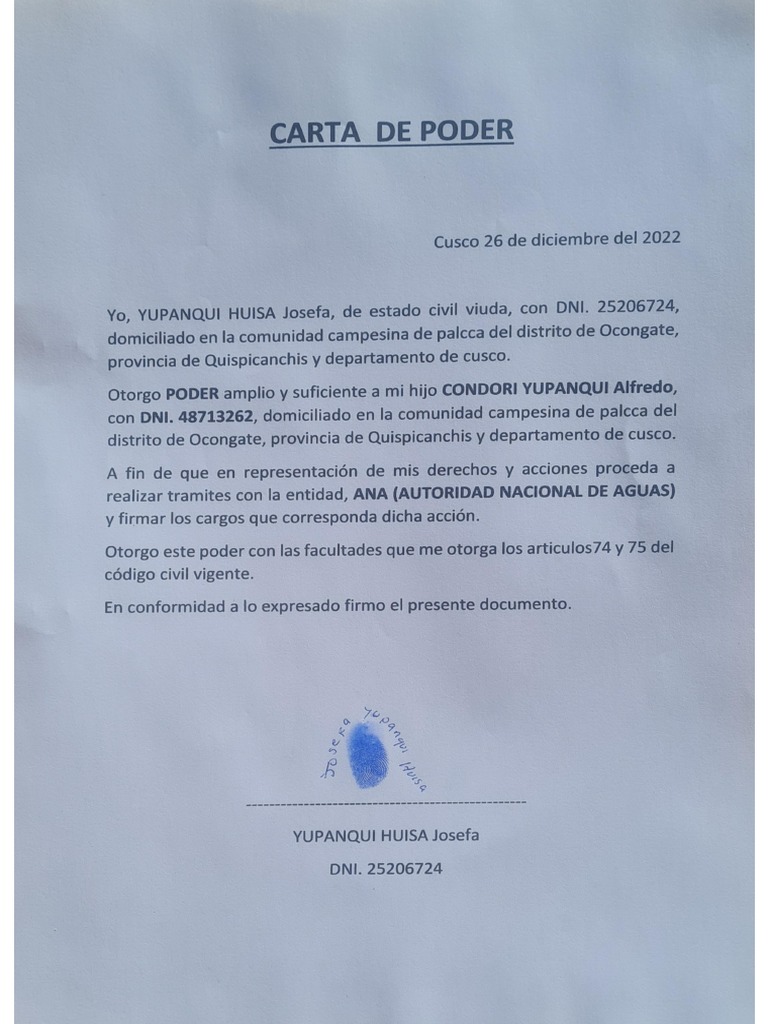 carta poder pdf | PDF