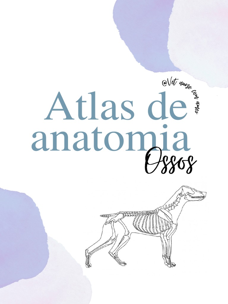 1 - Atlas de anatomia - Ossos @vetnursecomamor | PDF | Pélvis | Osso