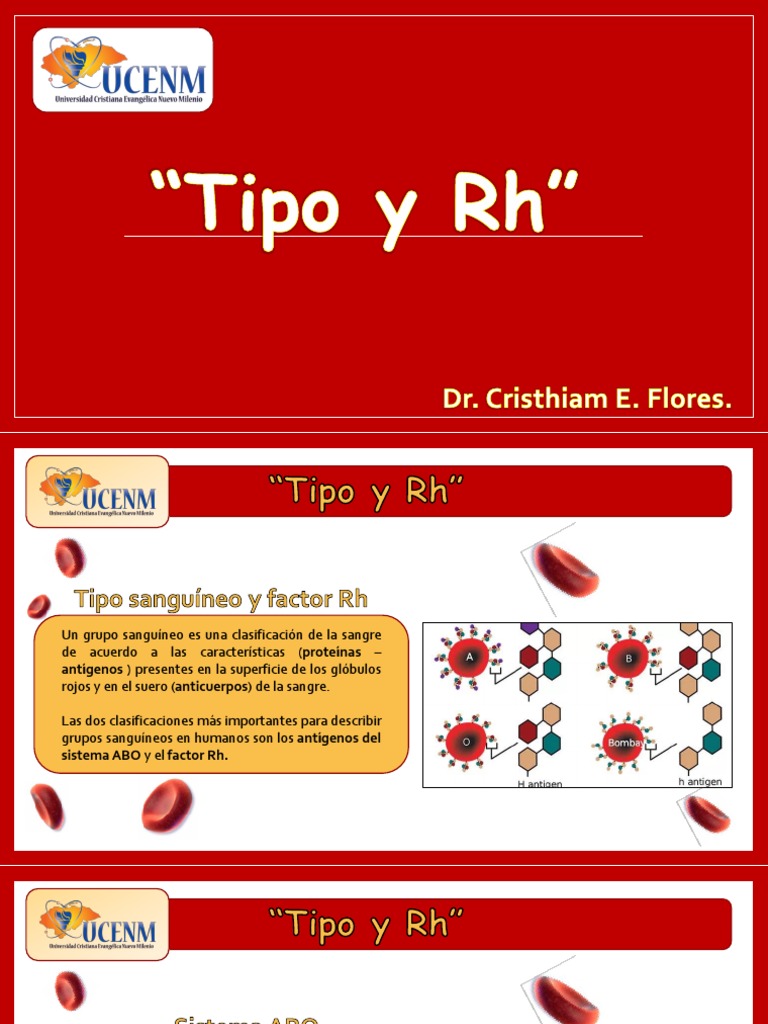 Grupos sanguíneos y factores ABO y Rh | PDF | Tipo de sangre ...