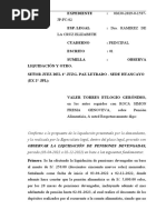 Modelo de Escrito Observacion de Liquidacion de Pensiones Devengadas | PDF | Liquidación | Bancos