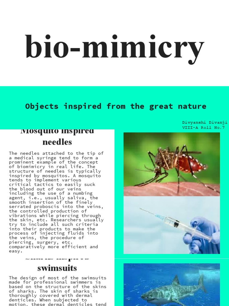 Bio-Mimicry by Divyanshi Divanji | PDF | Camouflage | Beetle