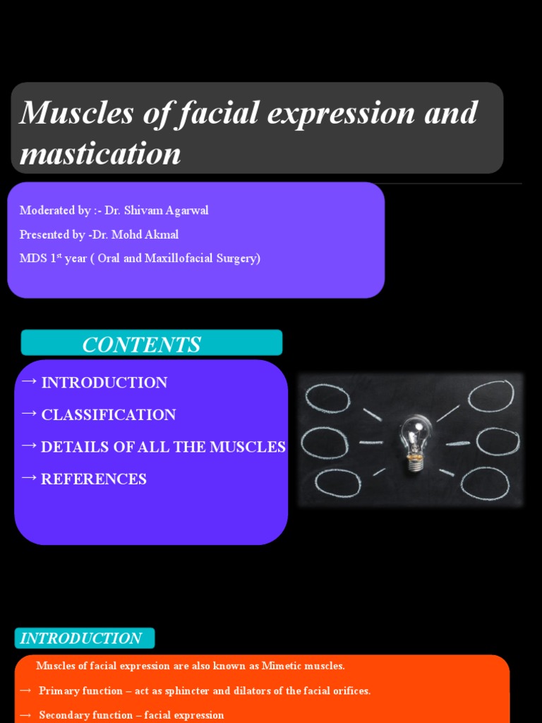 Muscles of Facial Expression and Mastication | PDF | Anatomical Terms ...