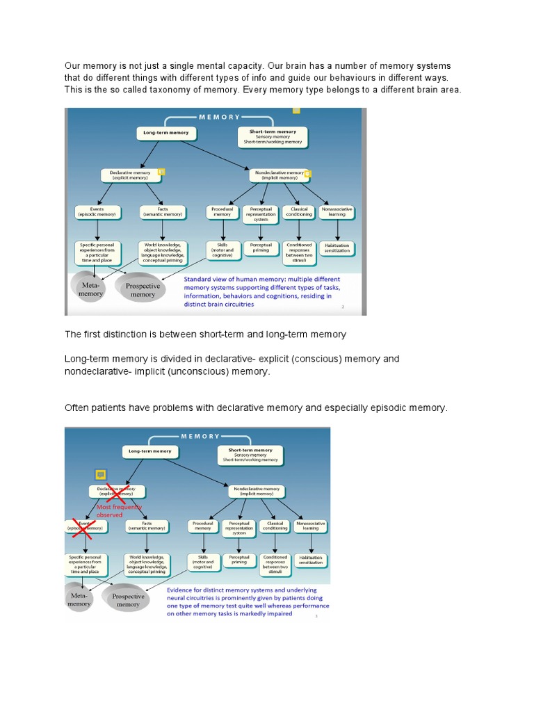 An In-Depth Exploration of Memory Systems and the Impact of Hippocampal ... An In-Depth Exploration of Memory Systems and the Impact of Hippocampal ...