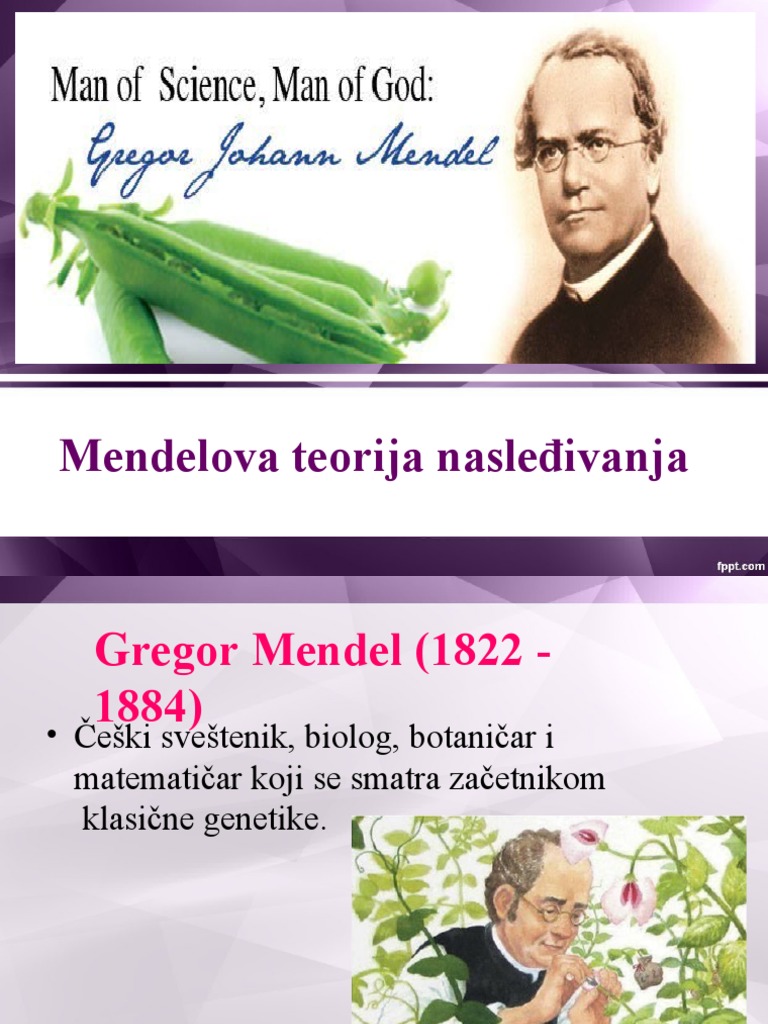 Mendel | PDF