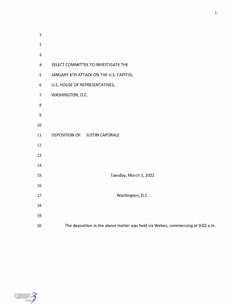 Justin Caporale Transcript | PDF | Deposition (Law) | Witness