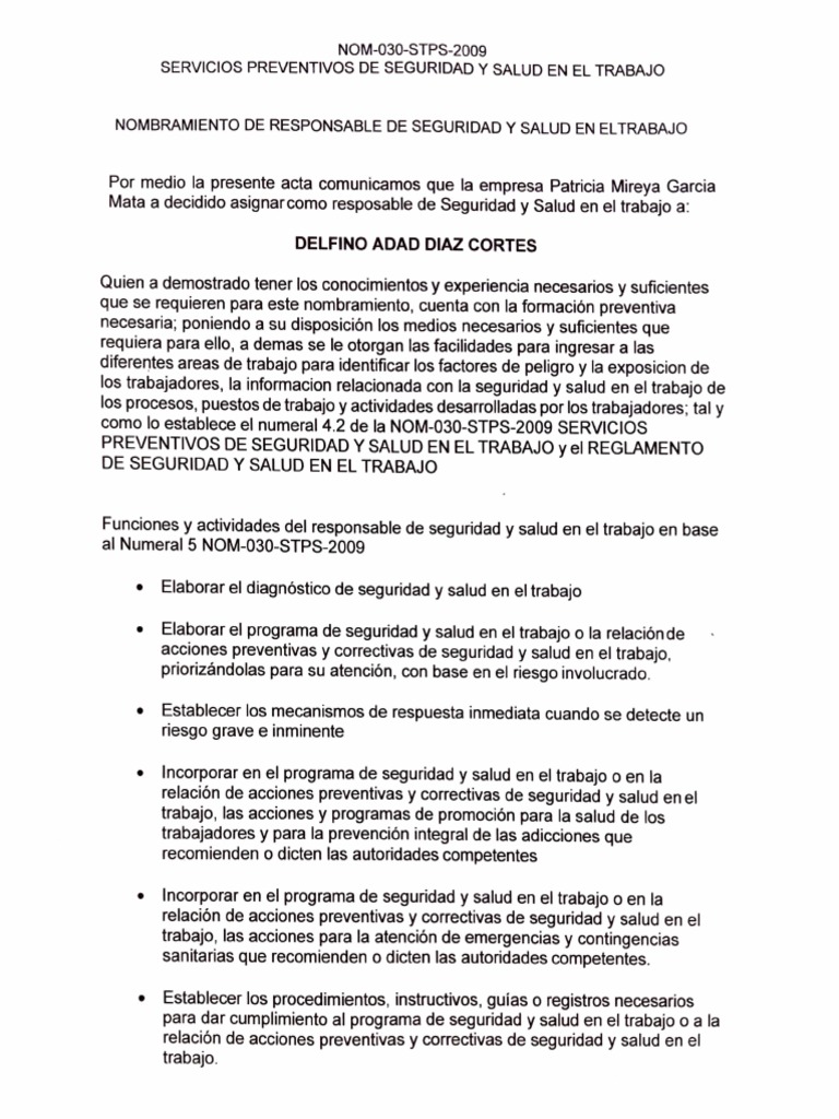 Designación Del Responsable de Seguridad | PDF | Ciencias de la Salud