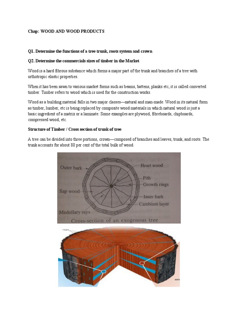 Chap: Wood and Wood Products | PDF | Wood | Trees