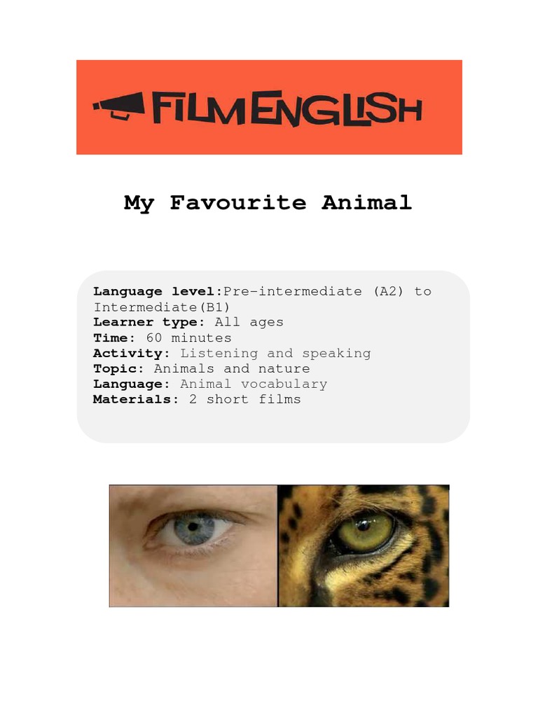 My Favourite Animal | PDF | Vocabulary | Human Communication