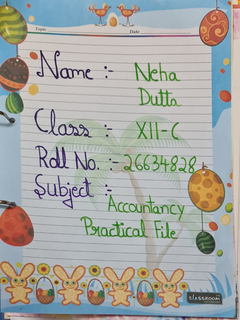 Accountancy Practical File | PDF | Revenue | Balance Sheet