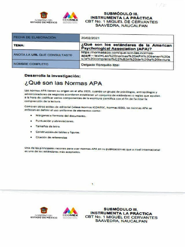 Instrumenta La Practica | PDF