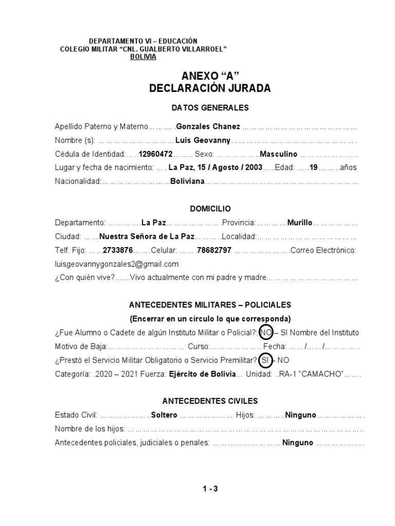 Anexo A - Declaracion Jurada | PDF