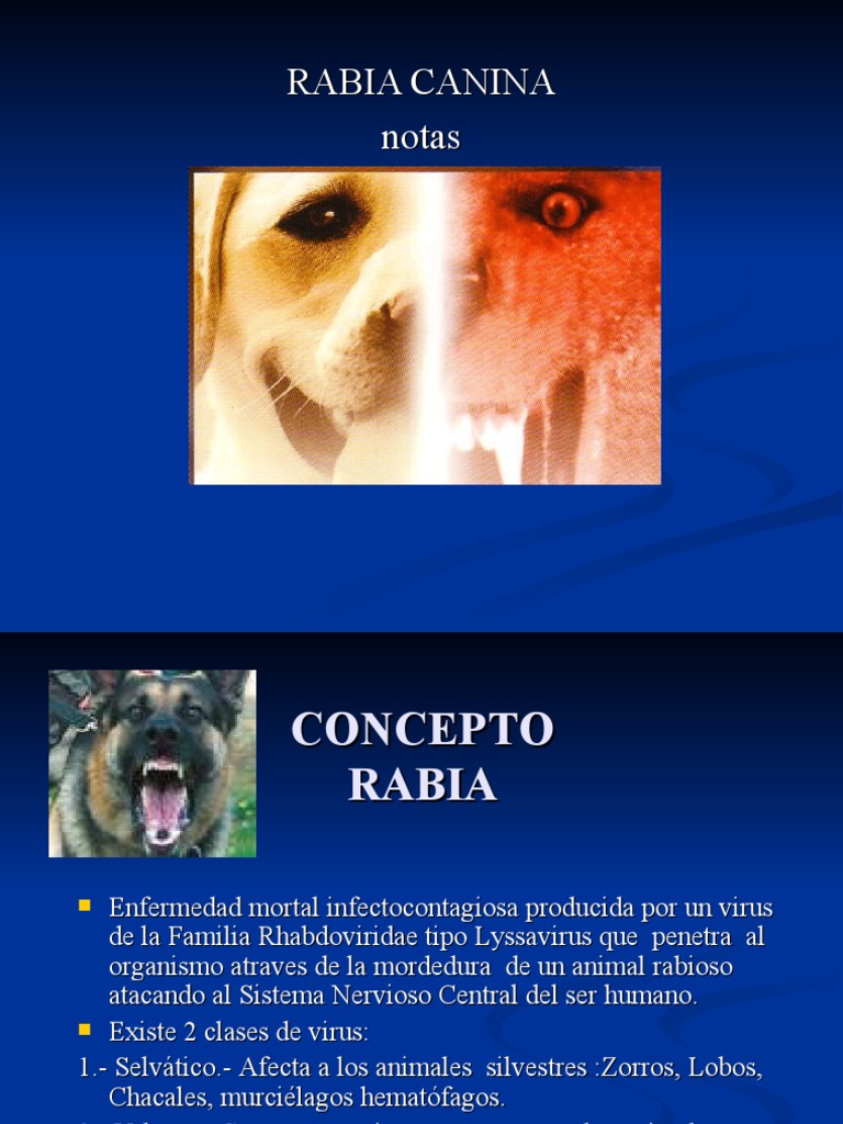 Rabia Canina - 1 | PDF