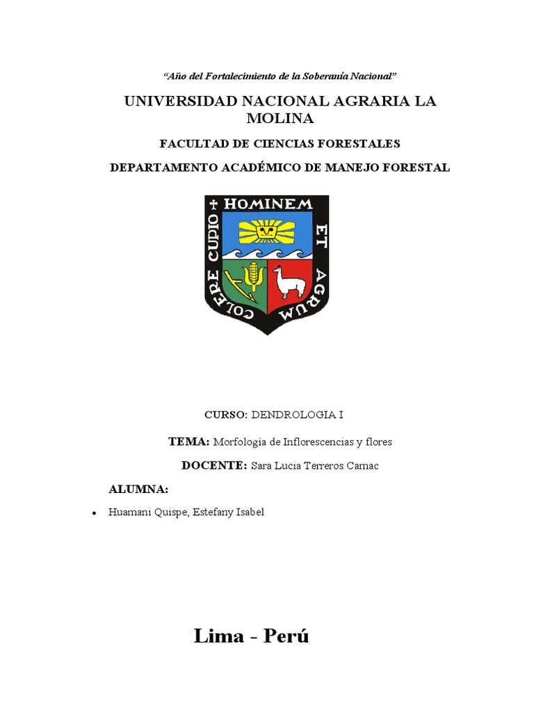 Morfologia de Inflorescencia y Flor | PDF | Flores | Botánica