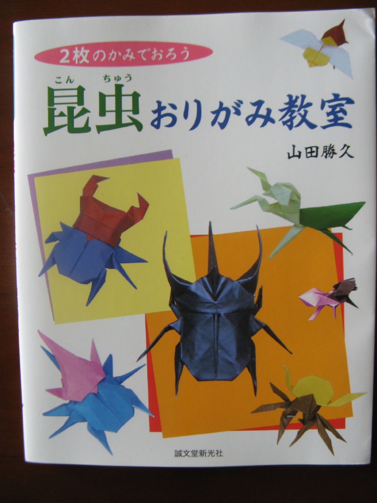 Origami Class Insect | PDF