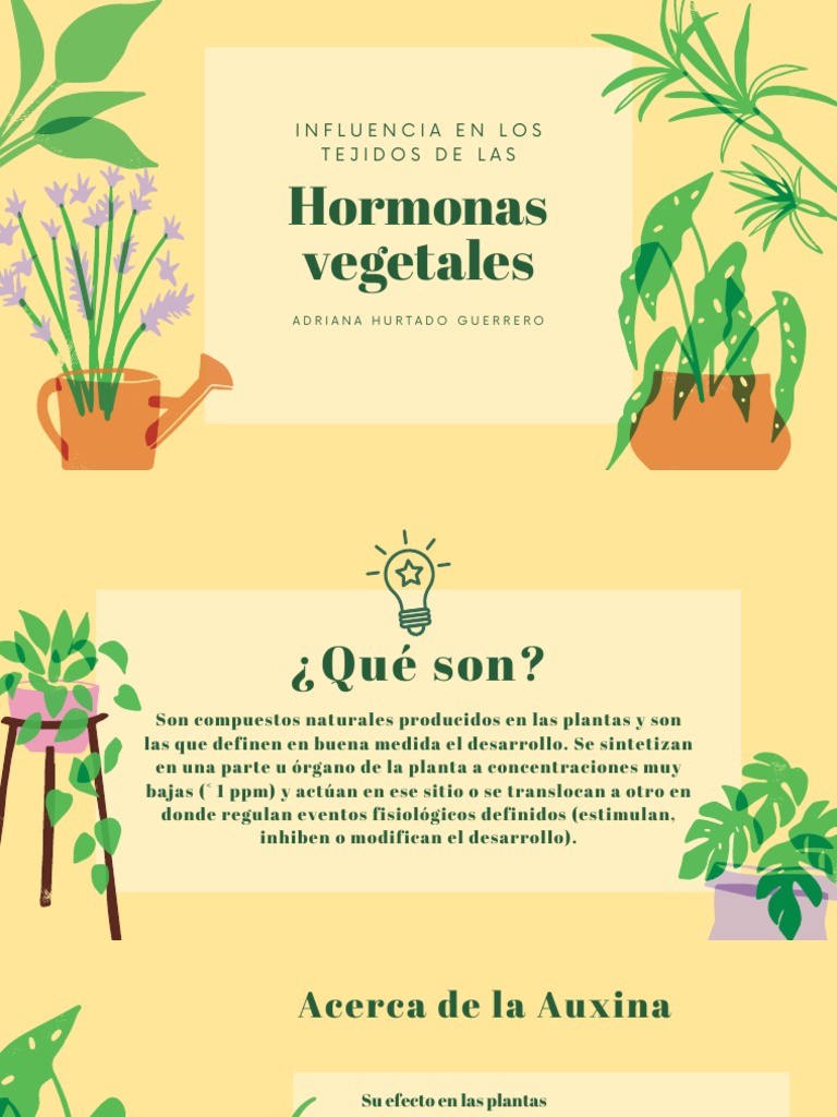 Influencia de las hormonas vegetales en el desarrollo de los tejidos de las plantas | PDF ...