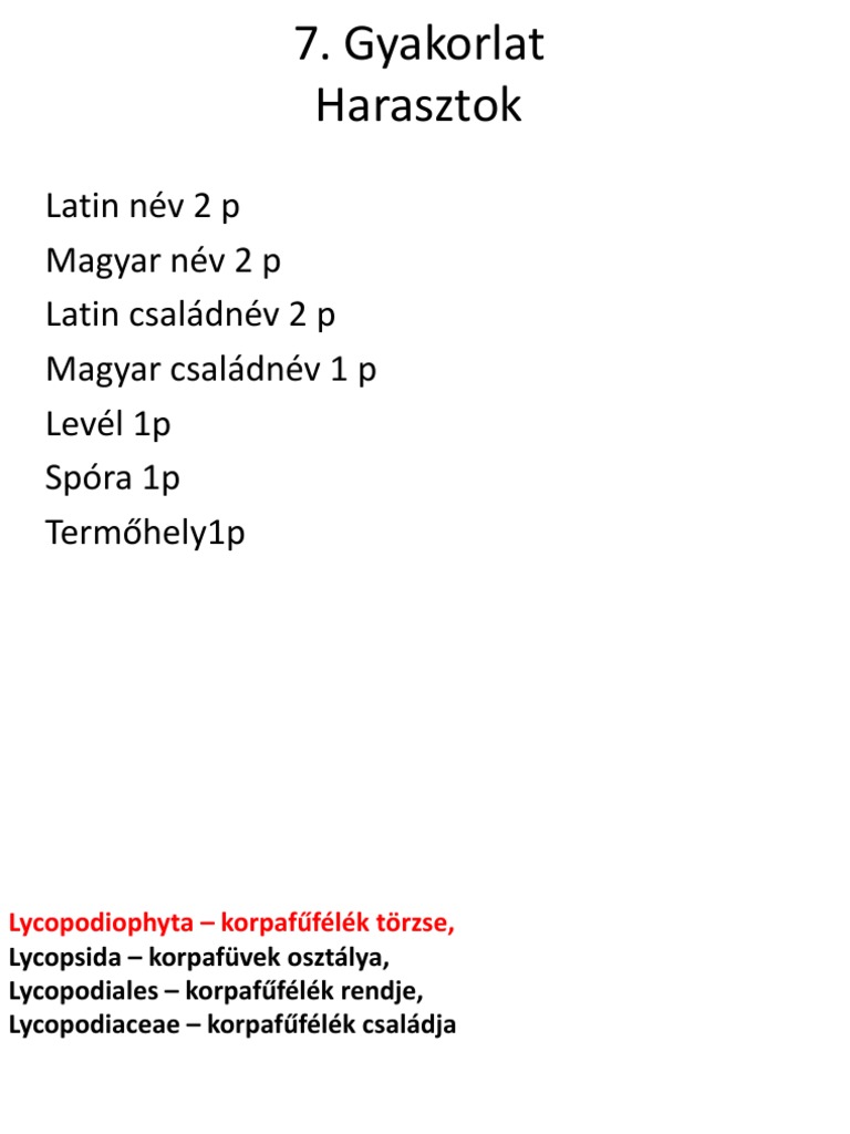 07 Haraszt Gyak 2021 | PDF