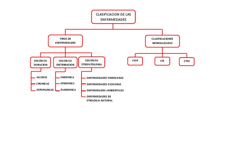 Clasificacion de Enfermedades-Mapa Conceptual | PDF