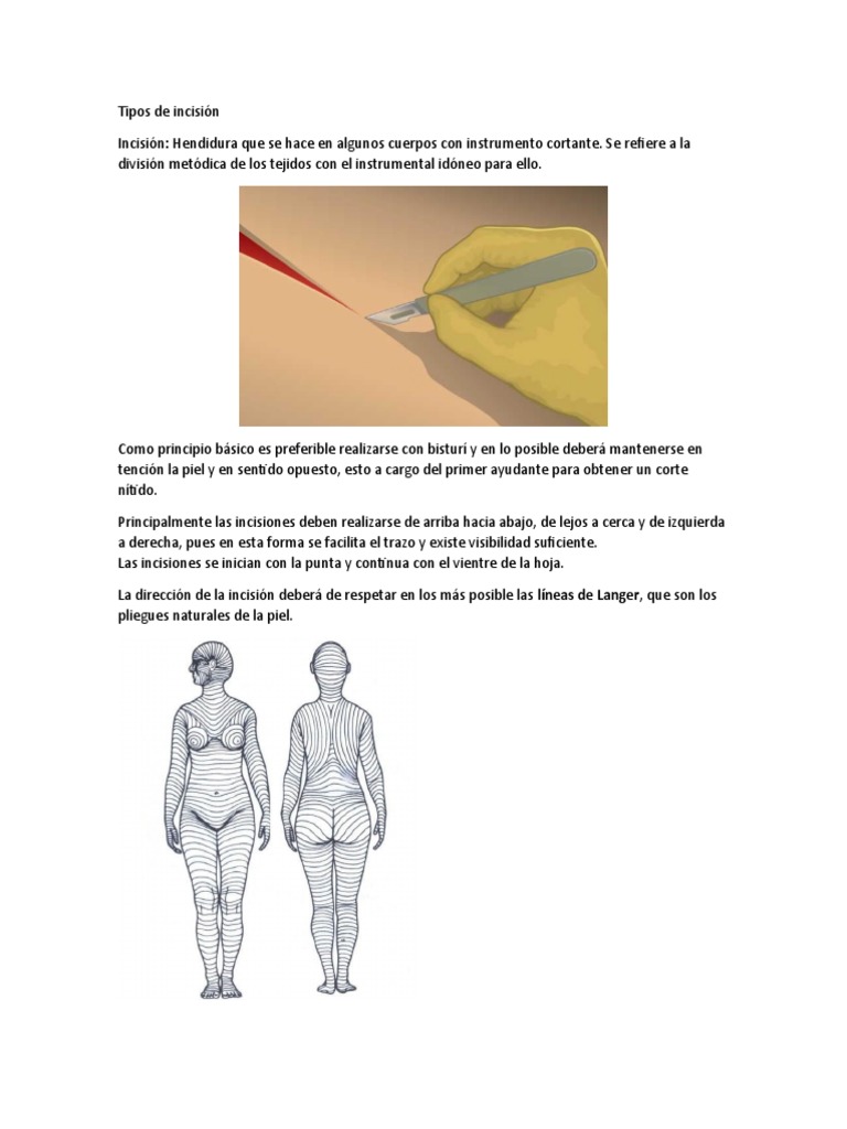 Tipos de Incisiones Quirúrgicas | PDF | Abdomen | Cirugía