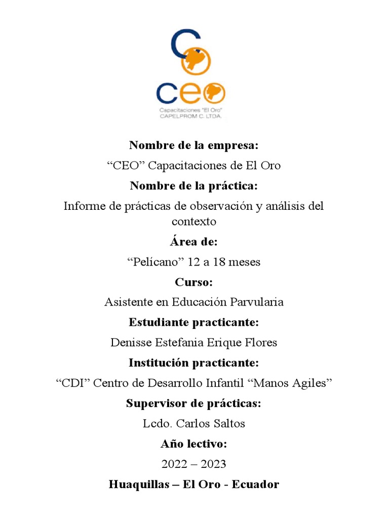 Informe de prácticas del CDI | PDF | Educación de la primera infancia