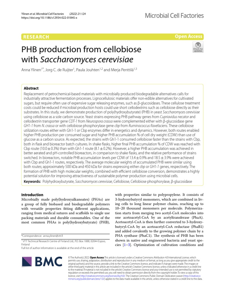 Seminario 1-2022-1 | PDF | Saccharomyces Cerevisiae | Metabolism