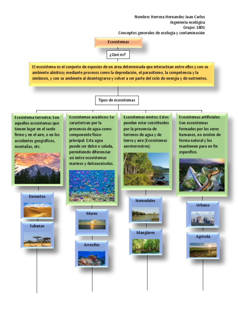 Actividad de Ecosistemas | PDF | Ecosistema | Entorno natural