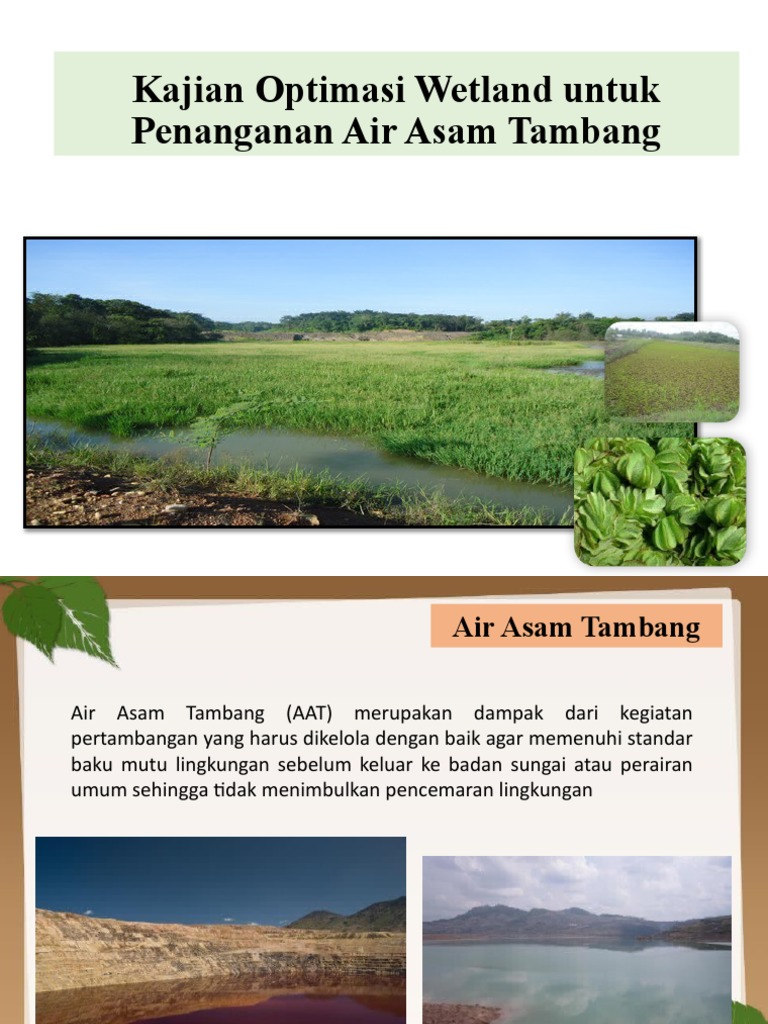 Kajian Optimasi Wetland Untuk Penanganan Air Asam Tambang | PDF Kajian Optimasi Wetland Untuk Penanganan Air Asam Tambang | PDF