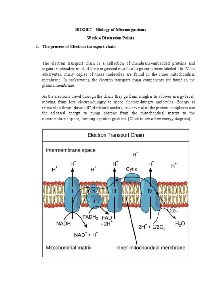 BIO2107 - Tutorial 4 Discussion Points | Download Free PDF | Electron ... BIO2107 - Tutorial 4 Discussion Points | Download Free PDF | Electron ...