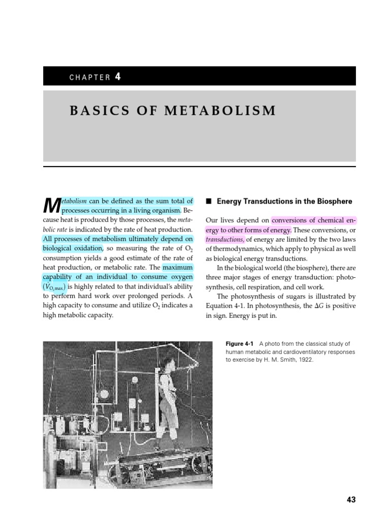 Brooks - ch04 BASICS OF METABOLISM | PDF | Heat | Calorimetry