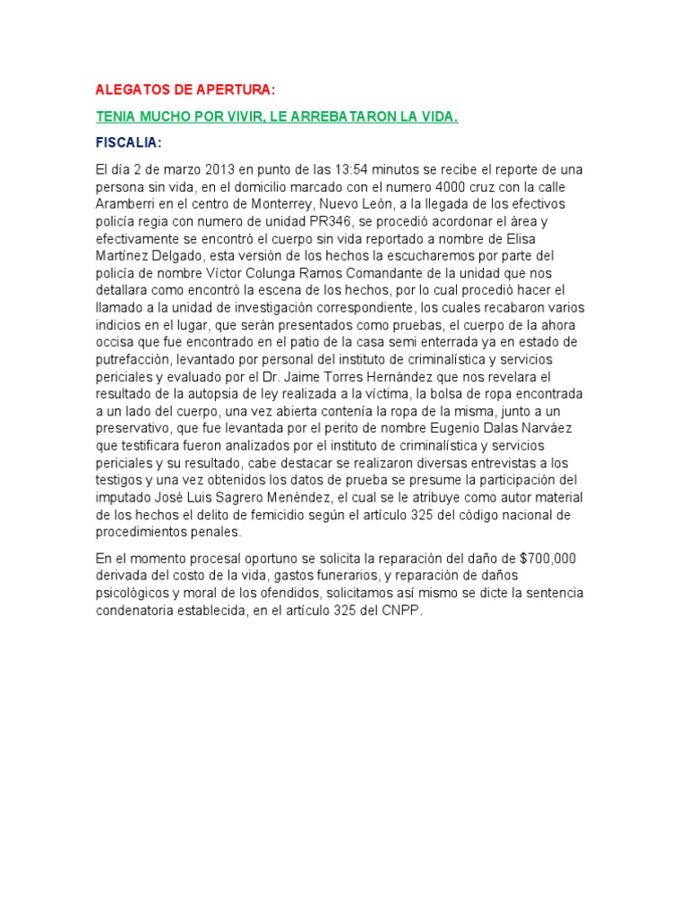 ALEGATO DE APERTURA Correcto | PDF