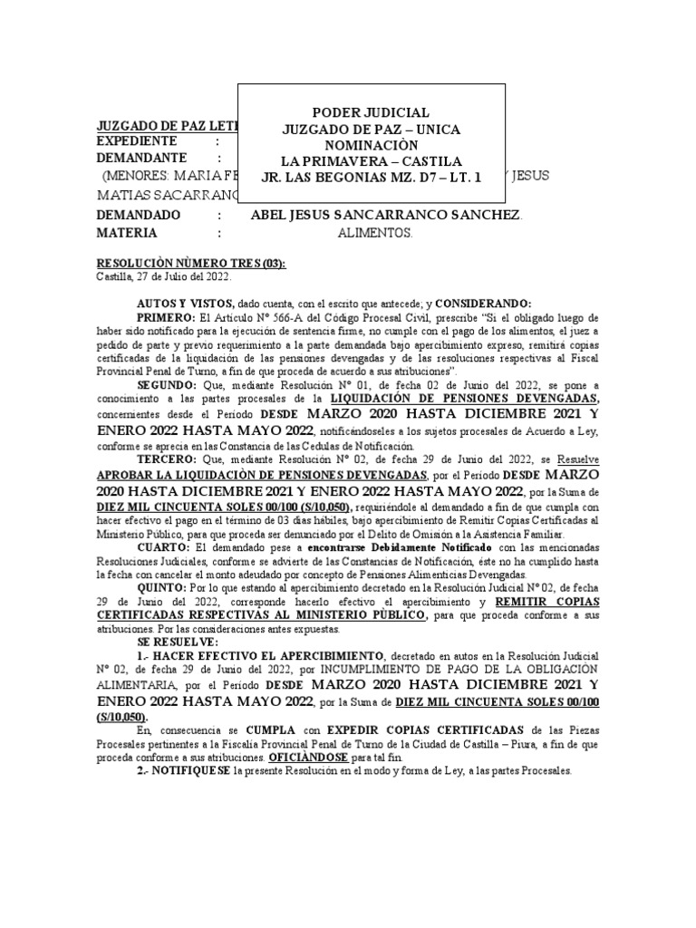 Incumplimiento de Pago de Alimentos | PDF | Ley común | Justicia