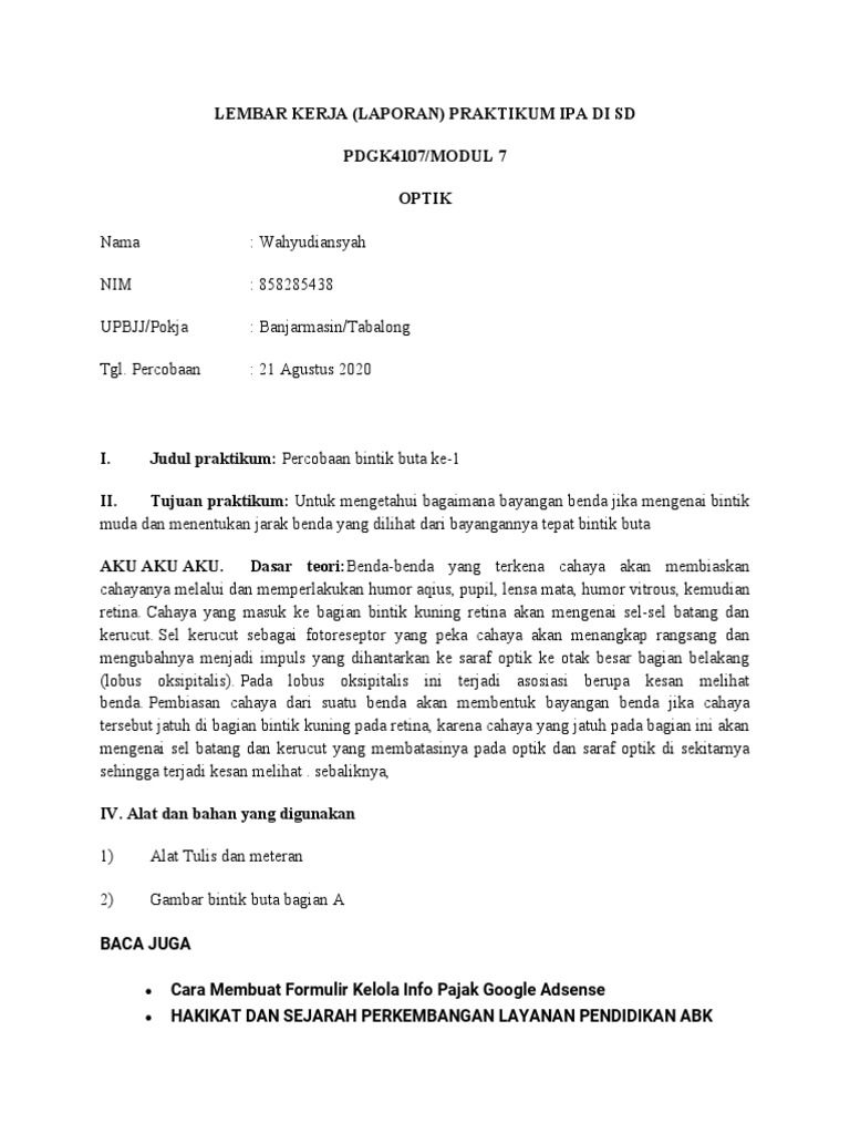 Praktikum Bintik Buta: Pengamatan Optik | PDF