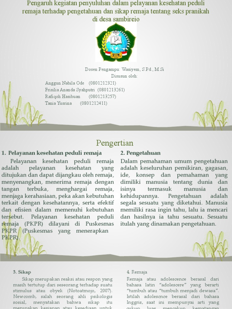 Contoh Mini Riset Kewarganegaraan | PDF