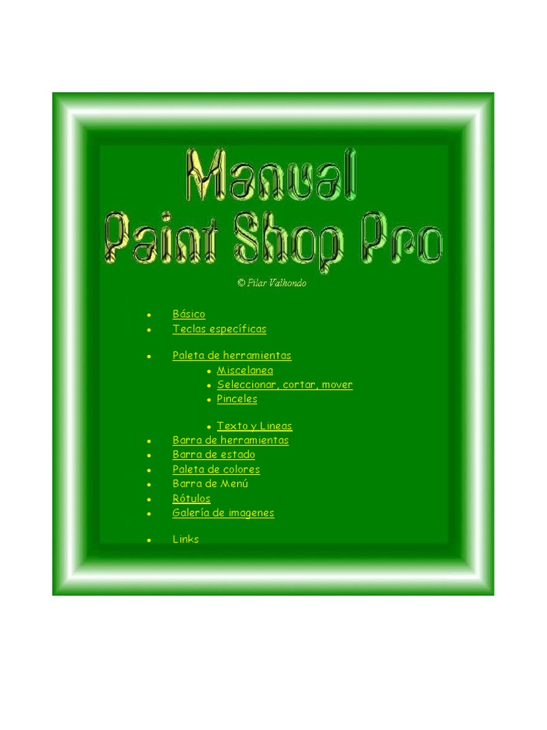 Manual Paint Shop Pro | PDF | Ventana (informática) | Píxel